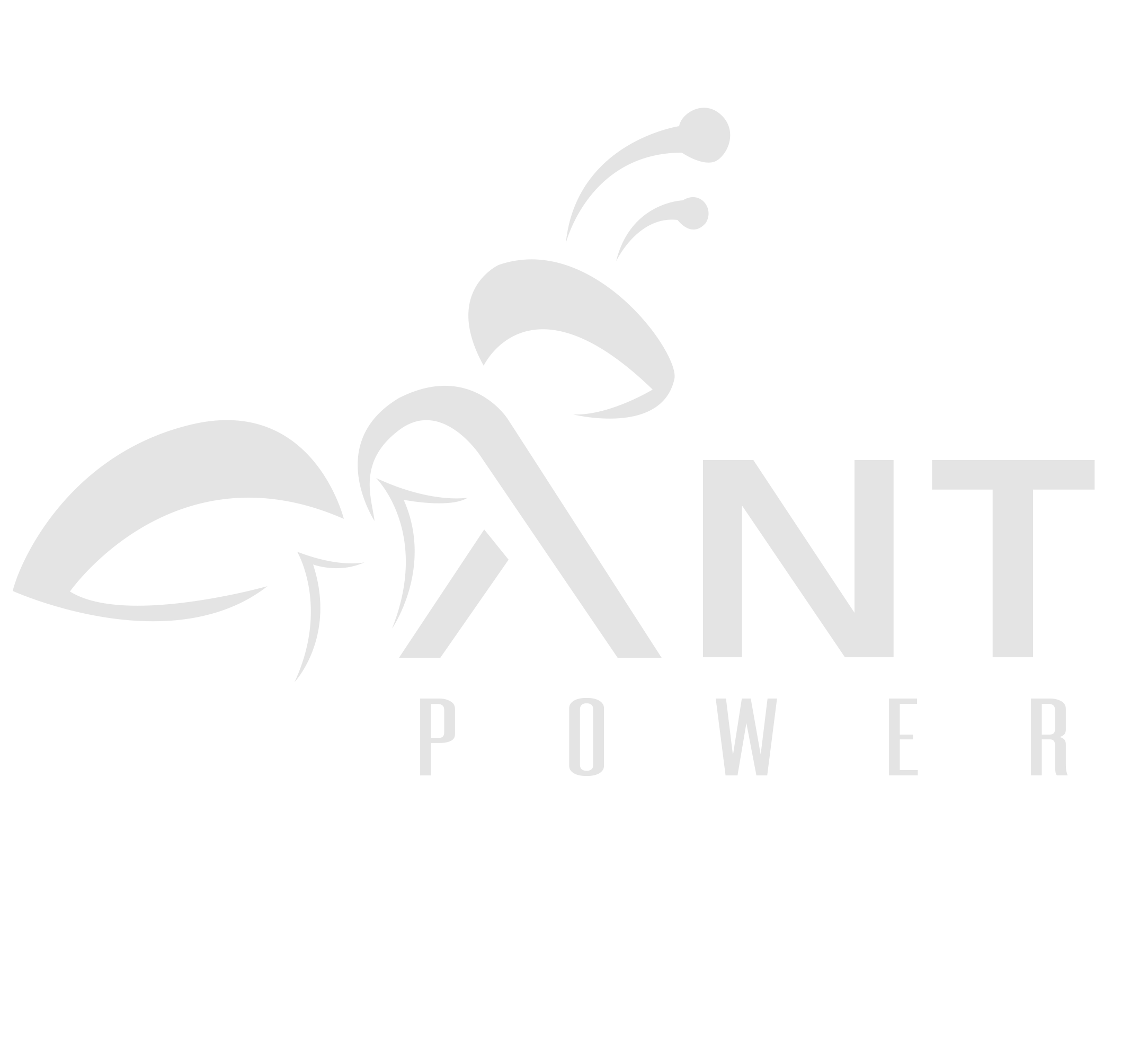AntPower | Marketing Digital en Huejutla de Reyes